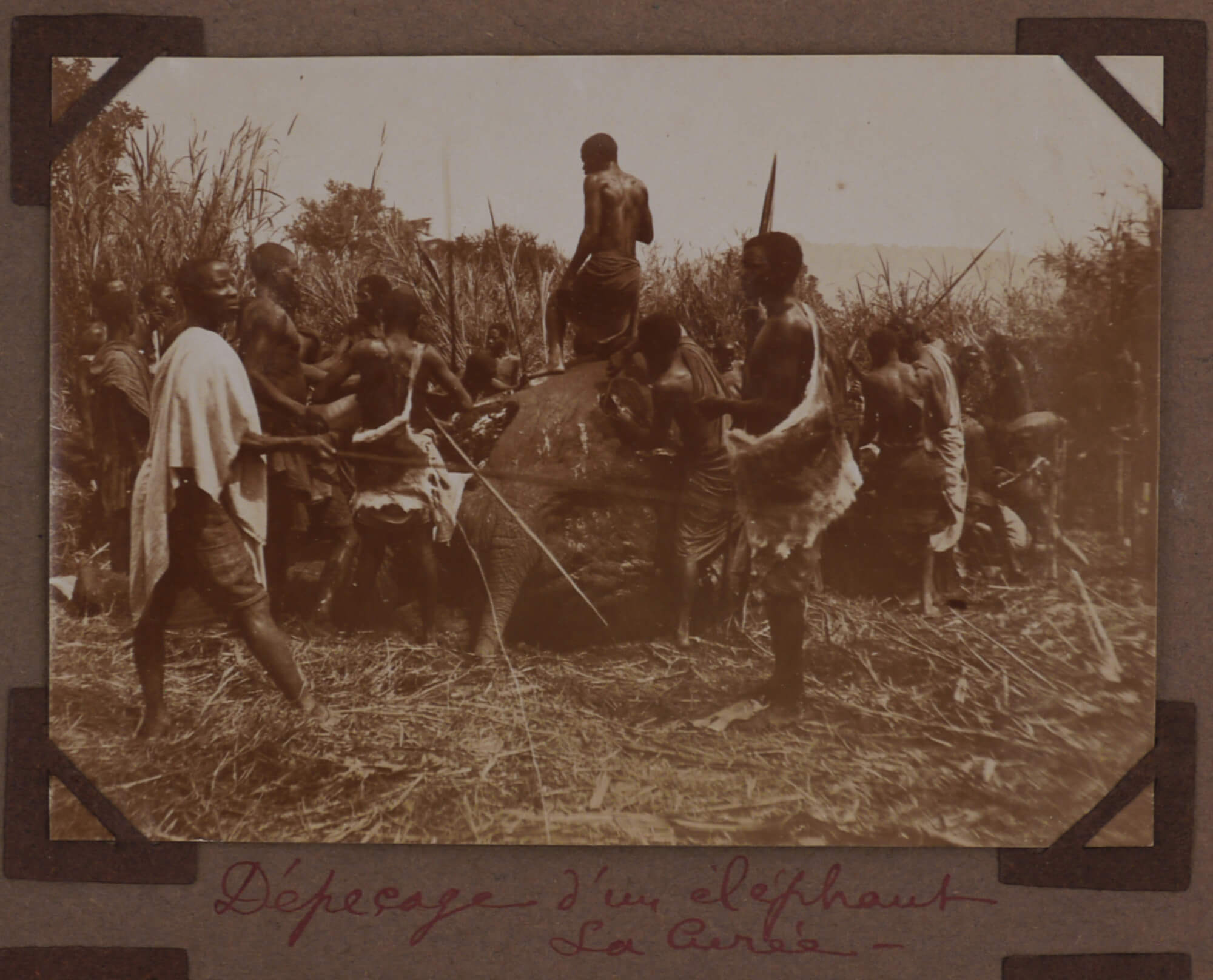 GlobusBooks - Album with 51 Original Photos of the Flourishing Network ...